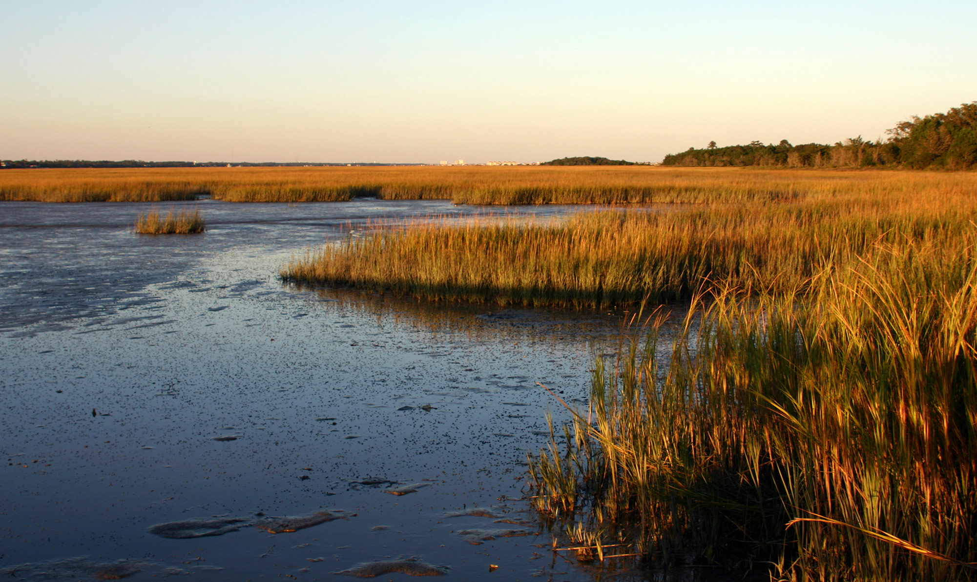 Southeast Climate Update and Webinar Recap | November 9, 2021 | Drought.gov