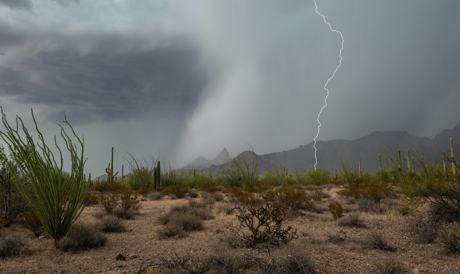 Monsoon season? | Utah Wildlife Forum