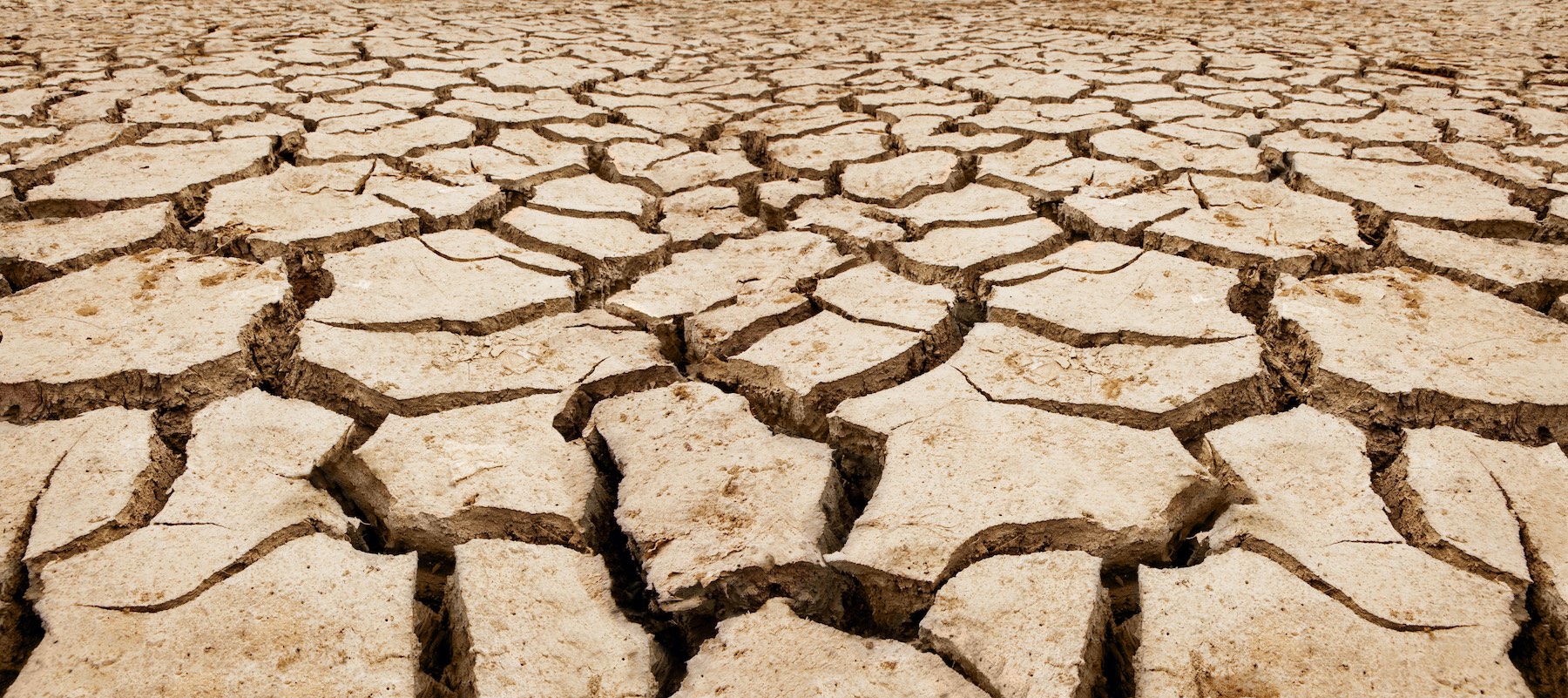 NIDIS Awards Over $6.2 Million for Projects on Ecological Drought and ...
