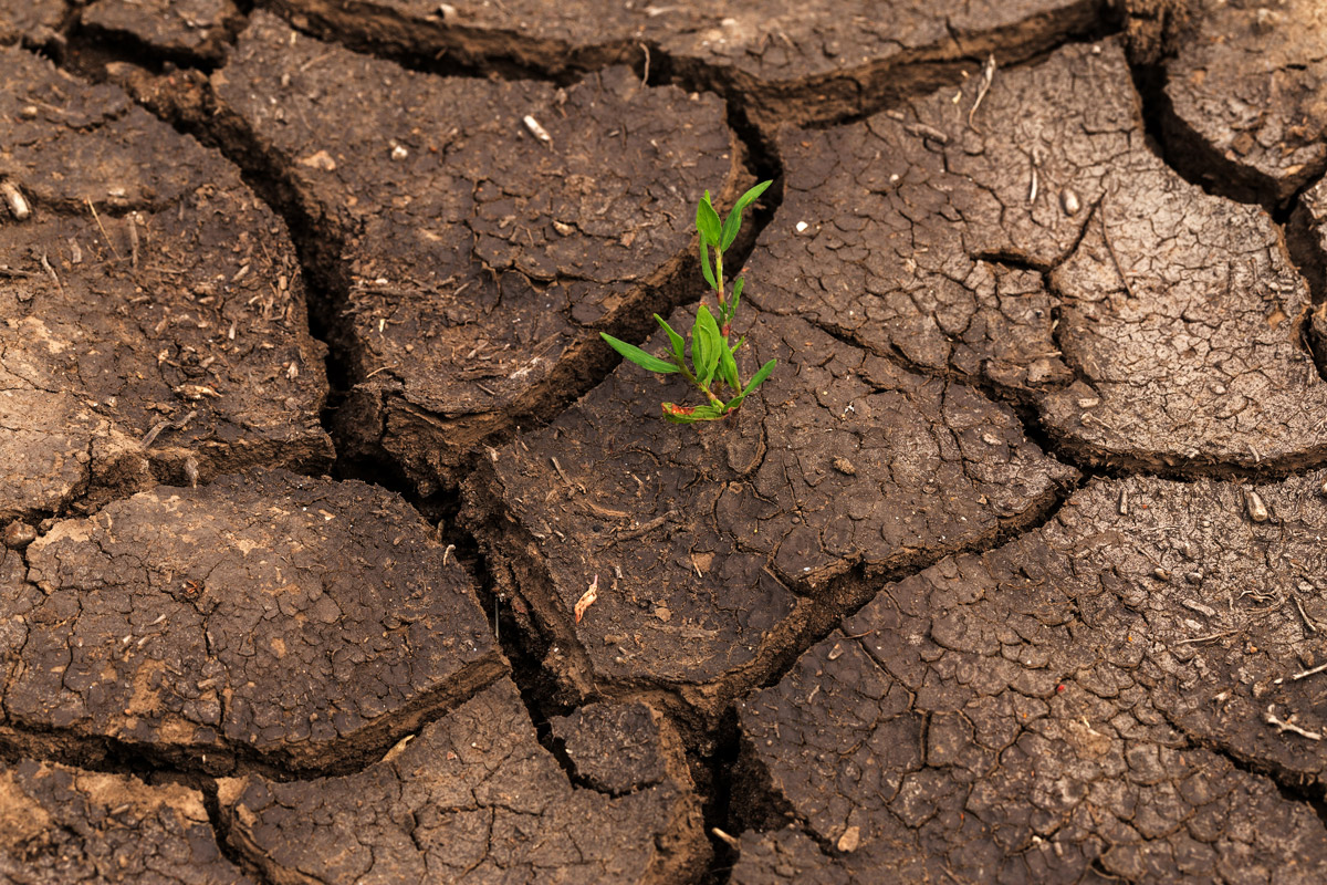 2020 In Review A Look Back At Drought Across The United States In 12 Maps January 7 2021