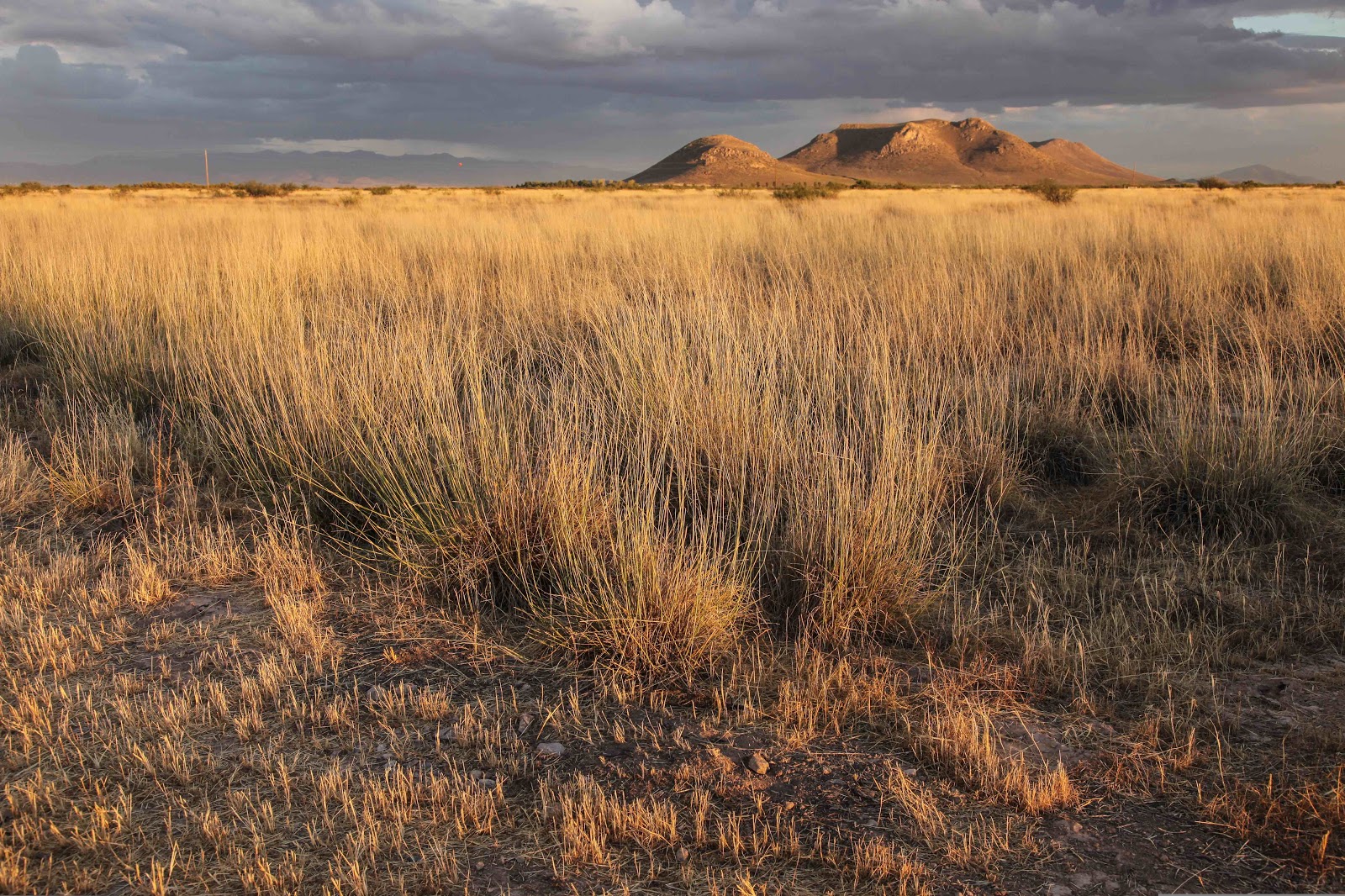Drought Prediction Sensitivity to Land Surface Conditions | November 3 ...
