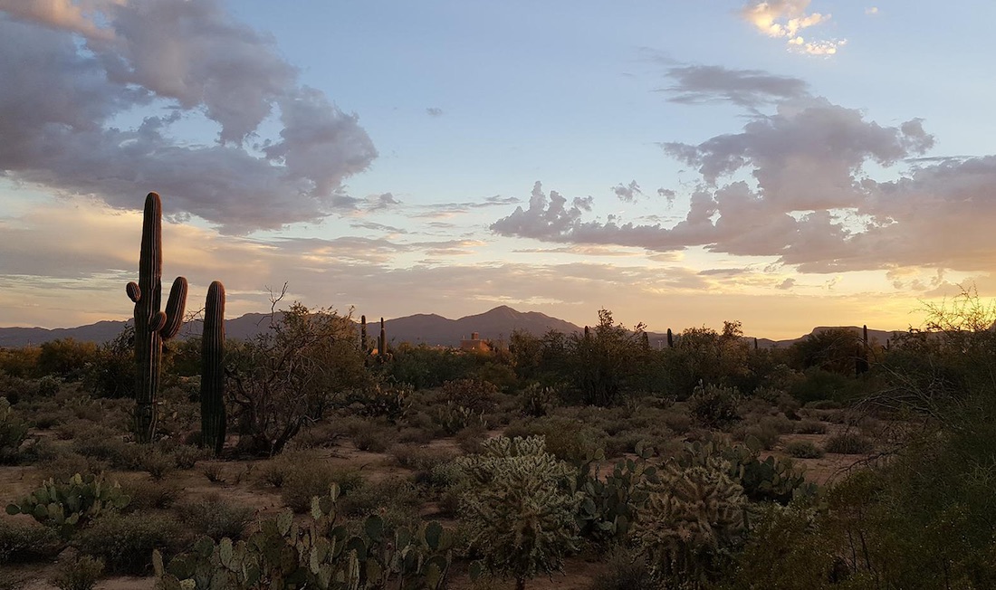 NASA DEVELOP Team Assesses Water Availability in the Sonoran Desert ...
