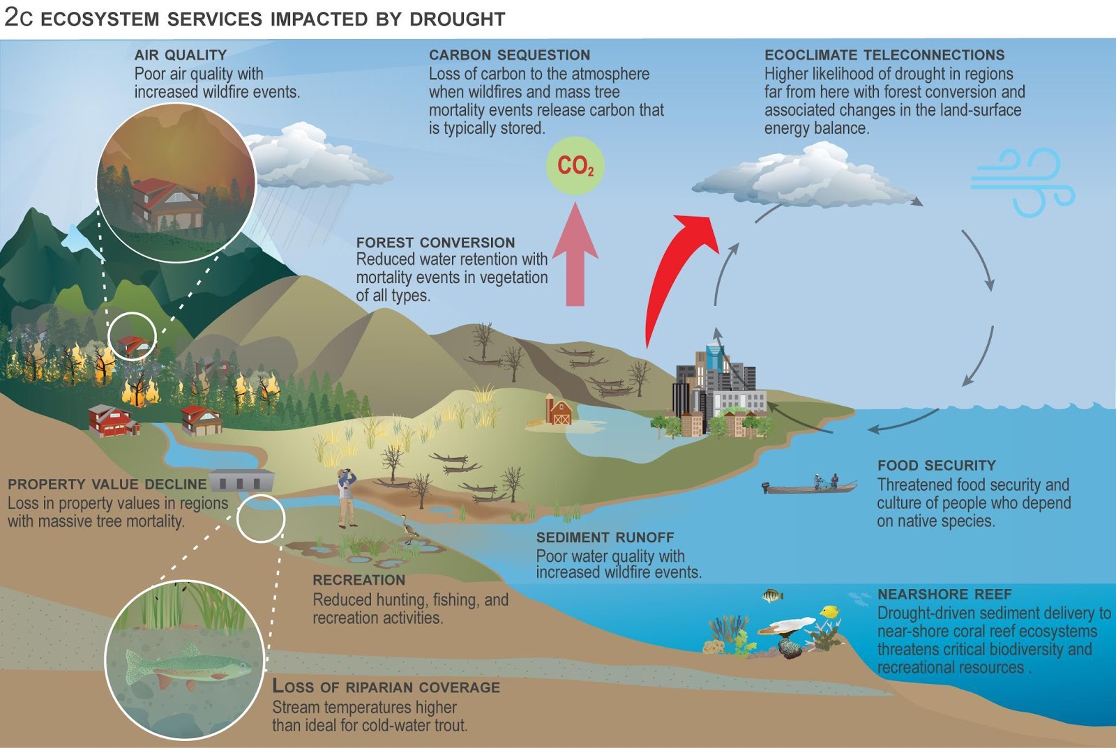 Ecological Drought Enters Unfamiliar Territory | October 6, 2020 ... Ecological Drought Enters Unfamiliar Territory | October 6, 2020 ...