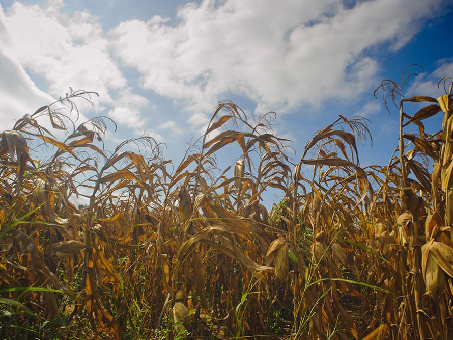 National Drought Mitigation Center (NDMC) | Drought.gov