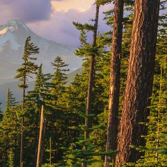 Vegetation | Drought.gov