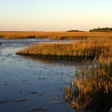 Georgia | Drought.gov